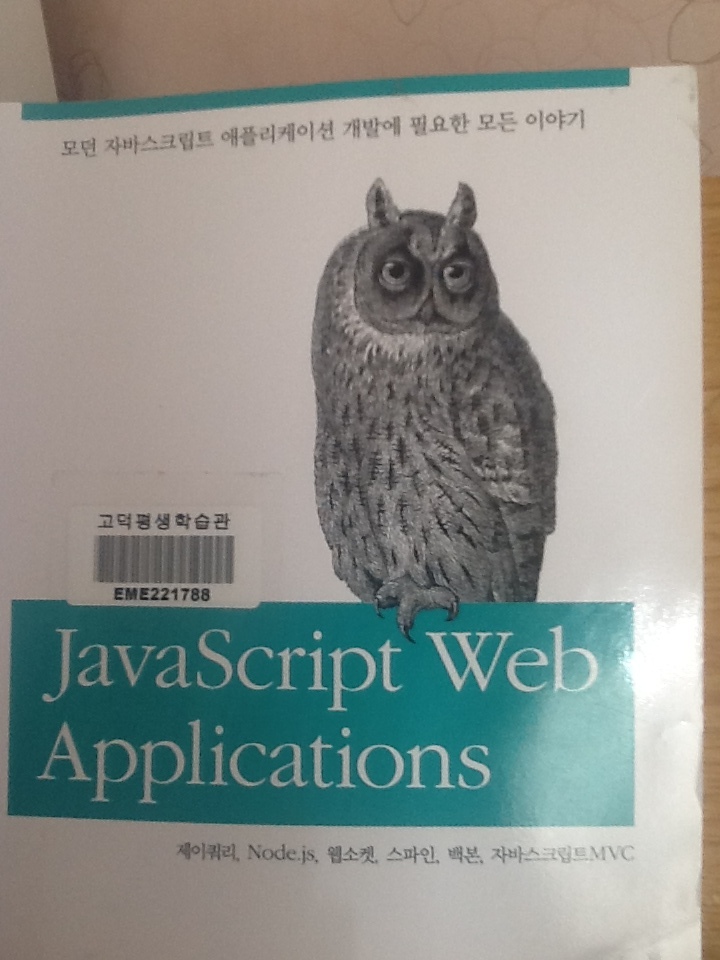 서평 Javascript Web Applications Vs 자바스크립트 핵심가이드 Epr